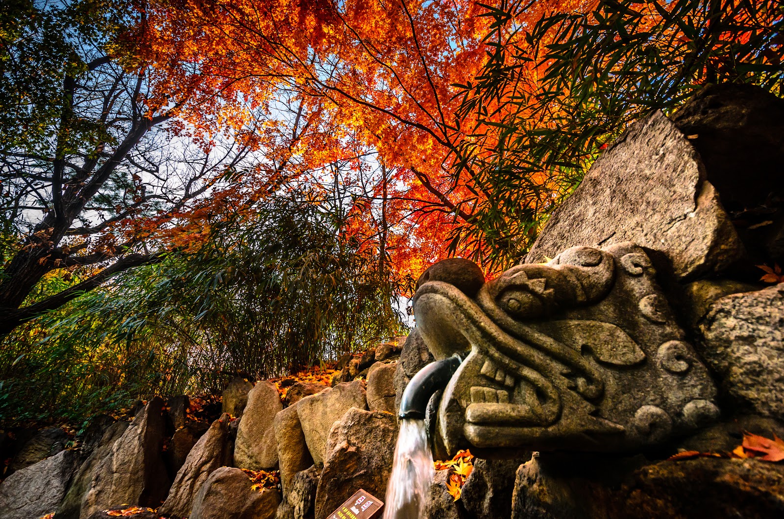 Deoksugang Temple | 10 Pictures in Pohang