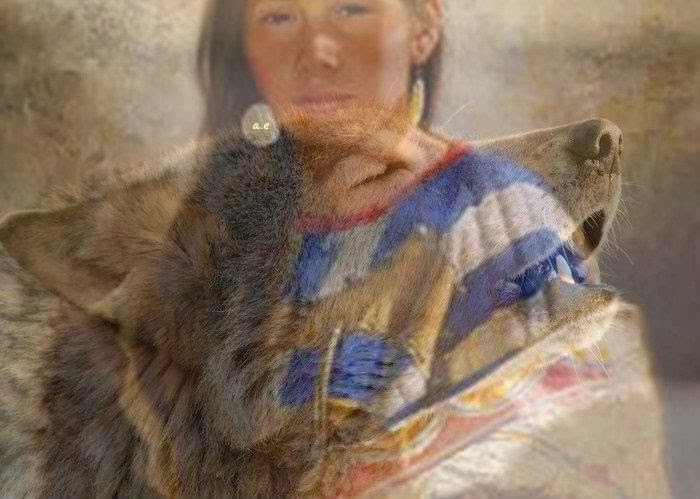 White Wolf : Cherokee Culture and The Way of the Wolf