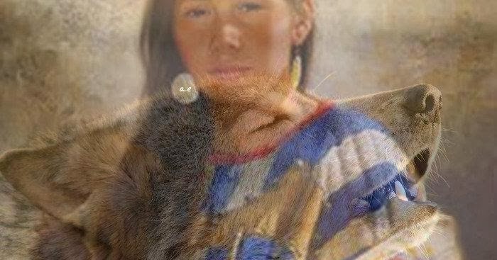 White Wolf : Cherokee Culture and The Way of the Wolf