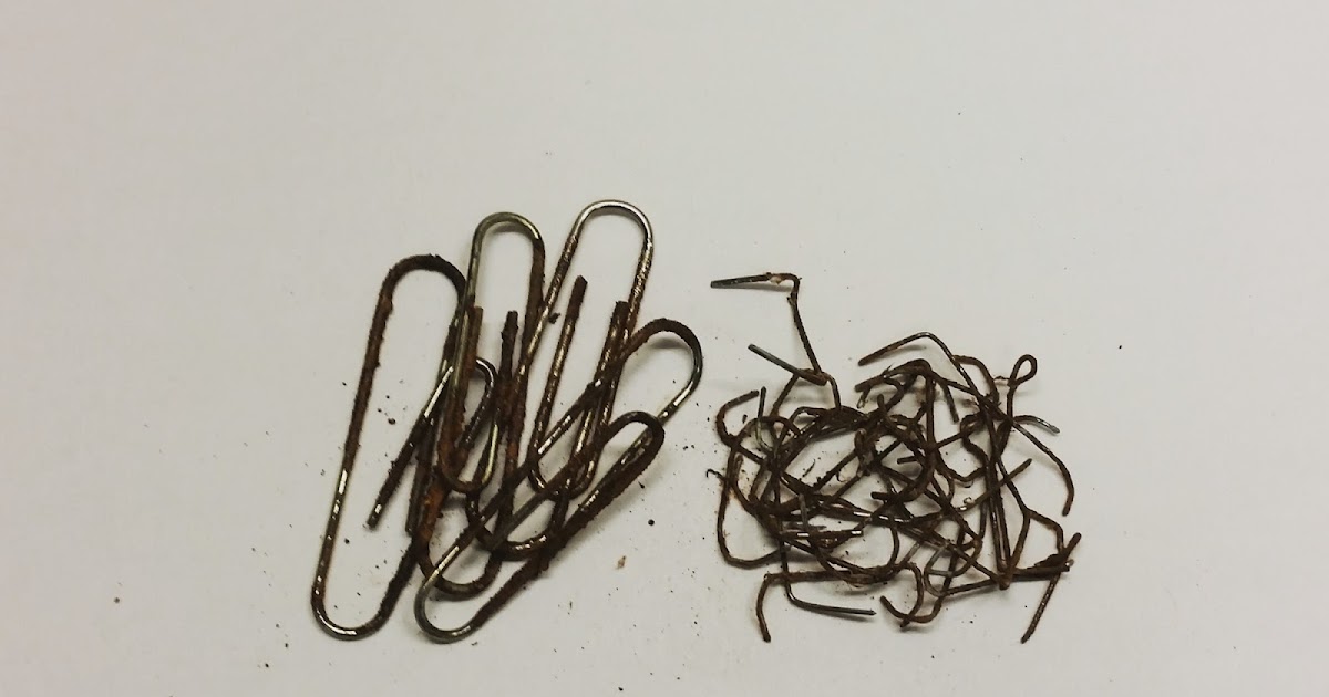 Kristin Maffei: Ephemera from the Museum of Myself - Rusty Paper Clips ...