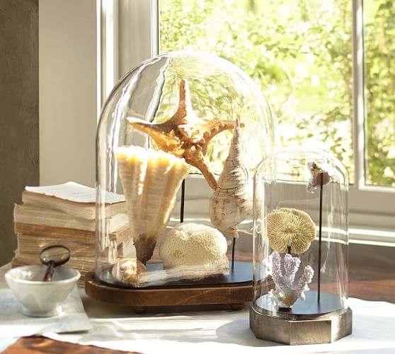 Our Hopeful Home: How To Make A Pottery Barn-Inspired Shell Cloche
