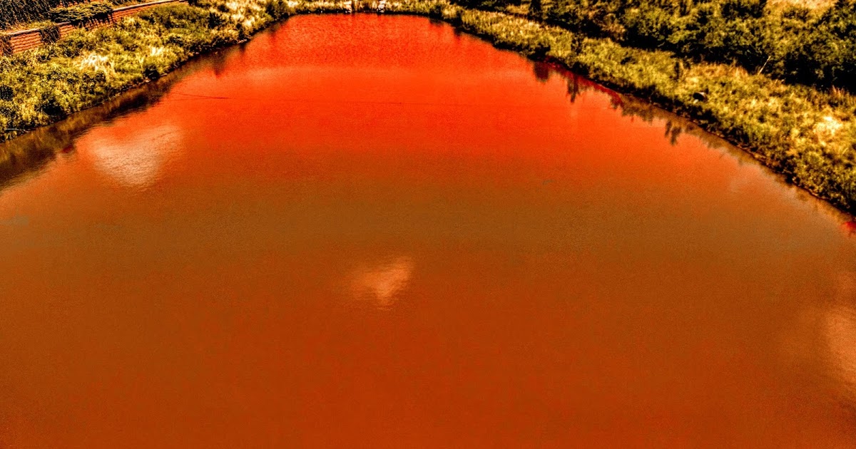 Quick Fiction by Nick Fisherman: Microstory 610: Body of Water Turns Red