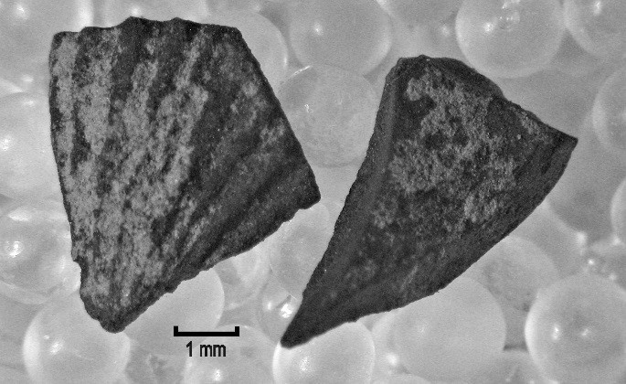 Environmental Archaeology in Ireland: Introducing the Irish ...