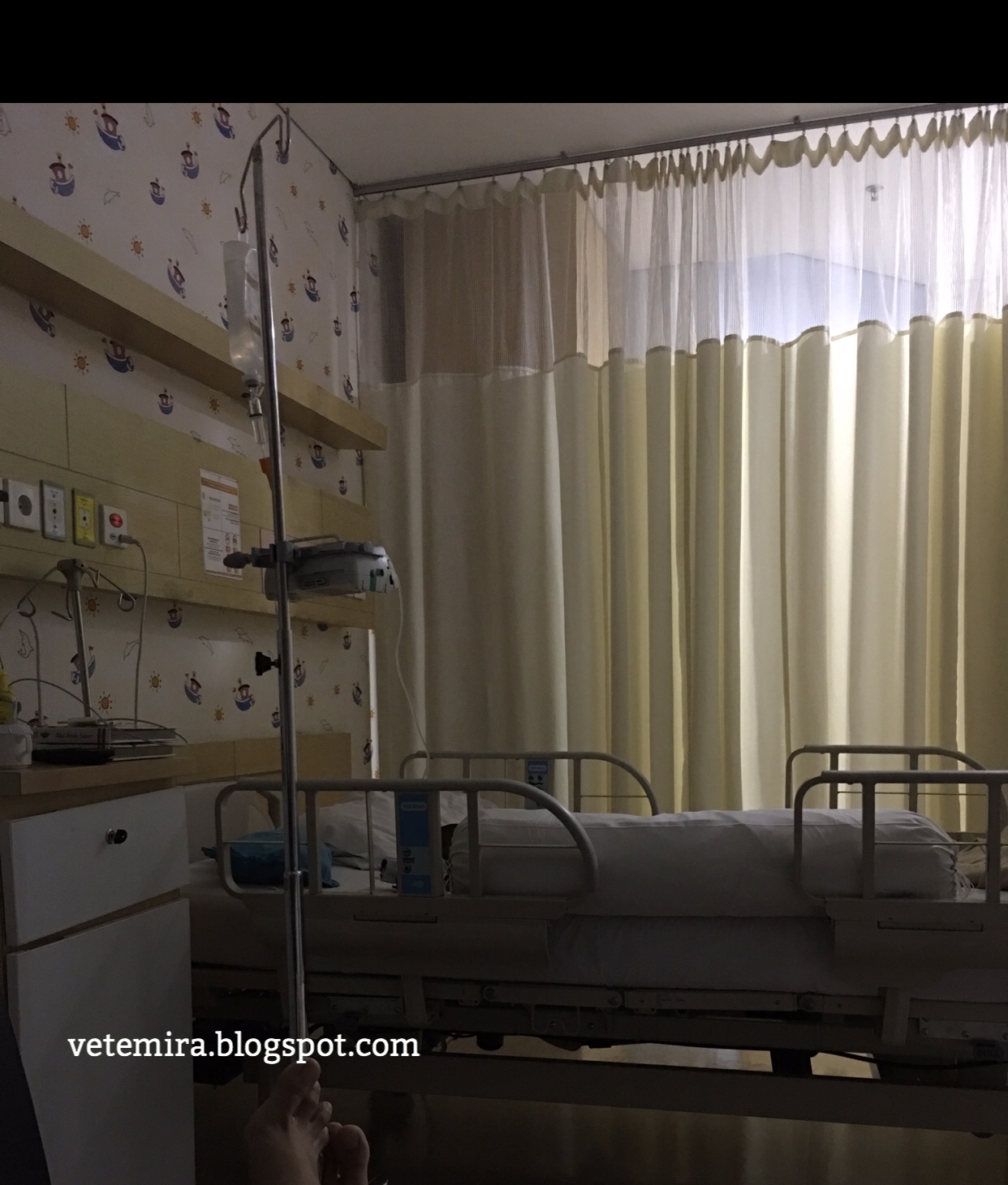 Story of My Journey: Kejang Demam dan Roseola Infantum