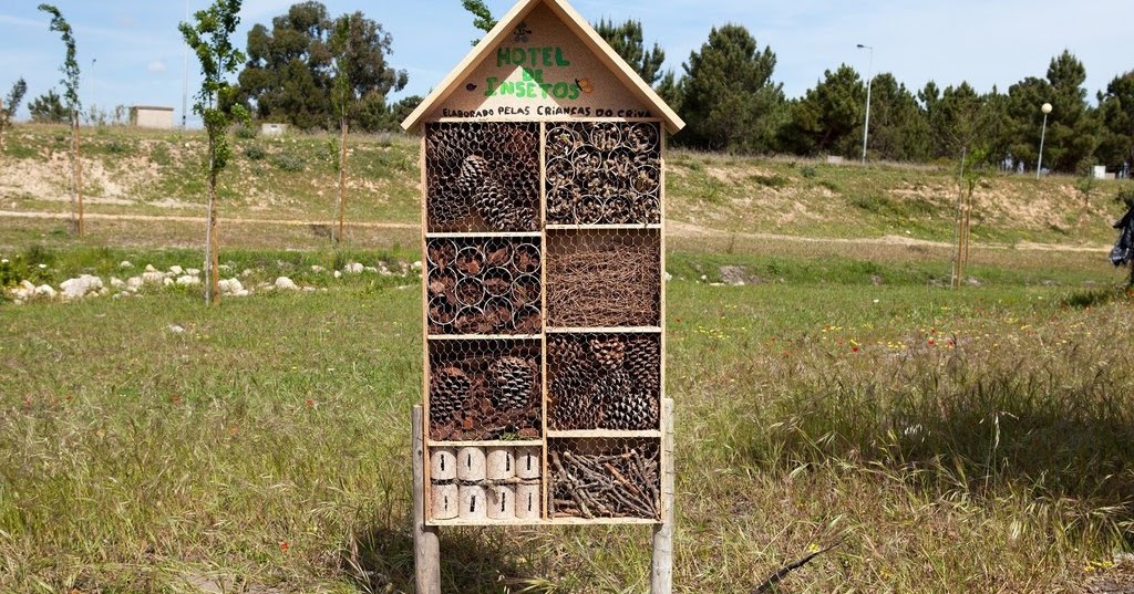 Moita tem dois hotéis de insetos no Vale da Amoreira
