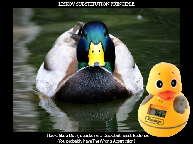 Bloom Lab: The Liskov Substitution Principle (LSP) flashback Bloom Lab: The Liskov Substitution Principle (LSP) flashback