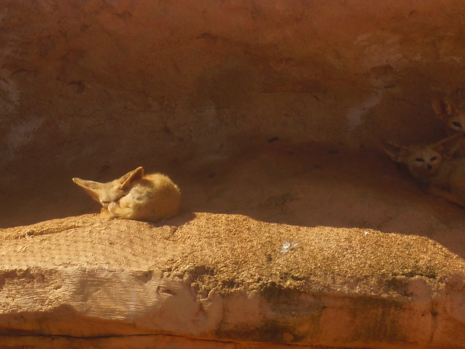 La vie laborieuse: Rabat (encore)