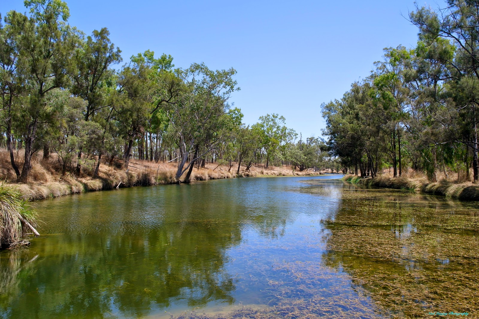 Can Go Around Australia: Kennedy Development Road, QLD.