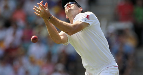 World Sports Picture: Catch Dropped in Cricket