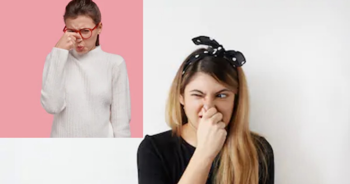 How To Manage Odours On A Pig Farm | LivestockSpot