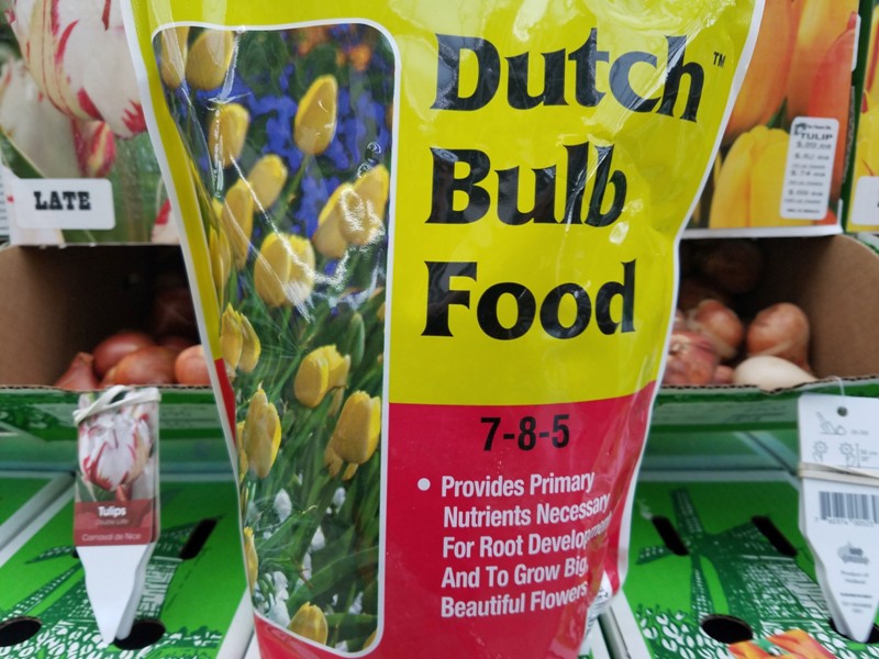 The Flower Bin: Bulb Planting Tips