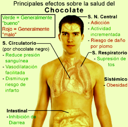 La enfermera virtual: Efectos del CHOCOLATE sobre la salud
