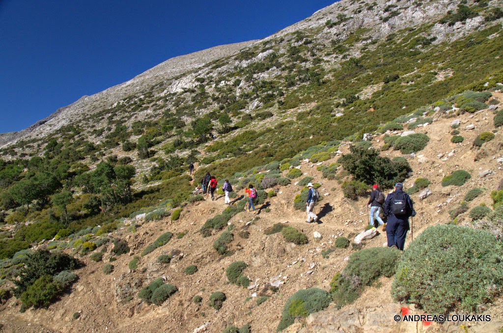 EXPLORE MOUNTAINS: ΣΤΗΝ ΚΟΡΥΦΗ ΤΟΥ ΨΗΛΟΡΕΙΤΗ 2456μ, (ΔΙΑΔΡΟΜΗ ΝΙΔΑ-ΚΟΡΥΦΗ)