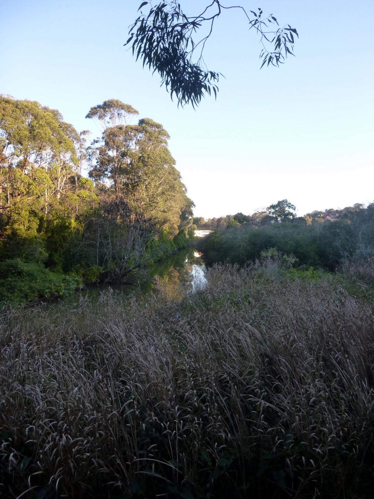 its just my life: Two Valley Trail