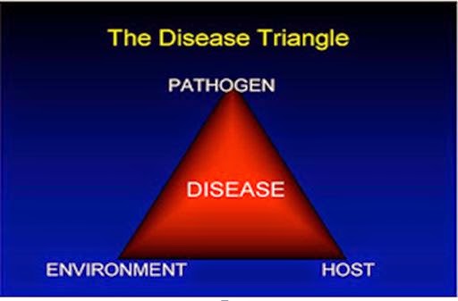 Better Crops by Barker: The Bermuda Triangle