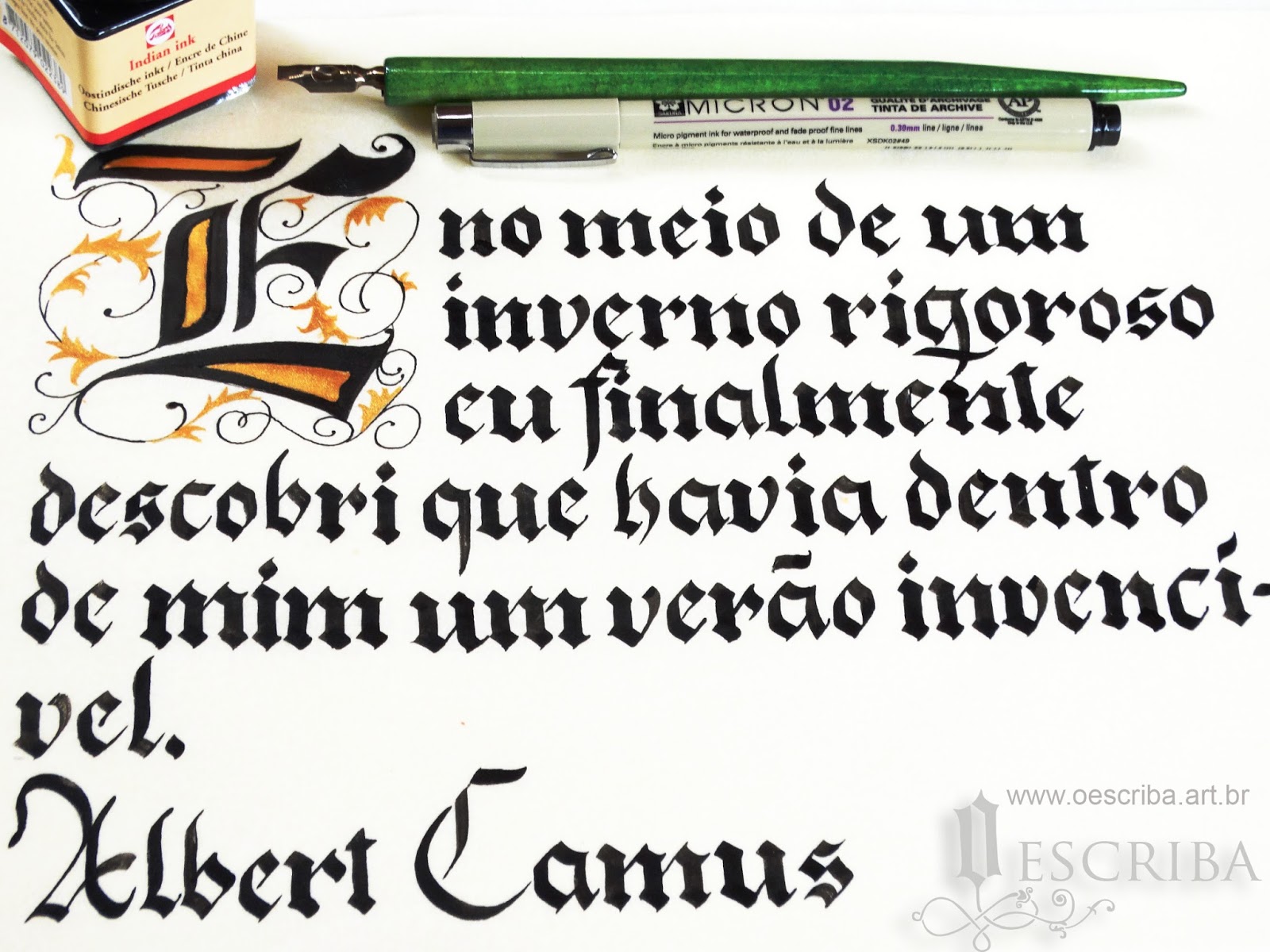 ANA BARROS CALIGRAFIA: Letras Capitulares: Um luxo!