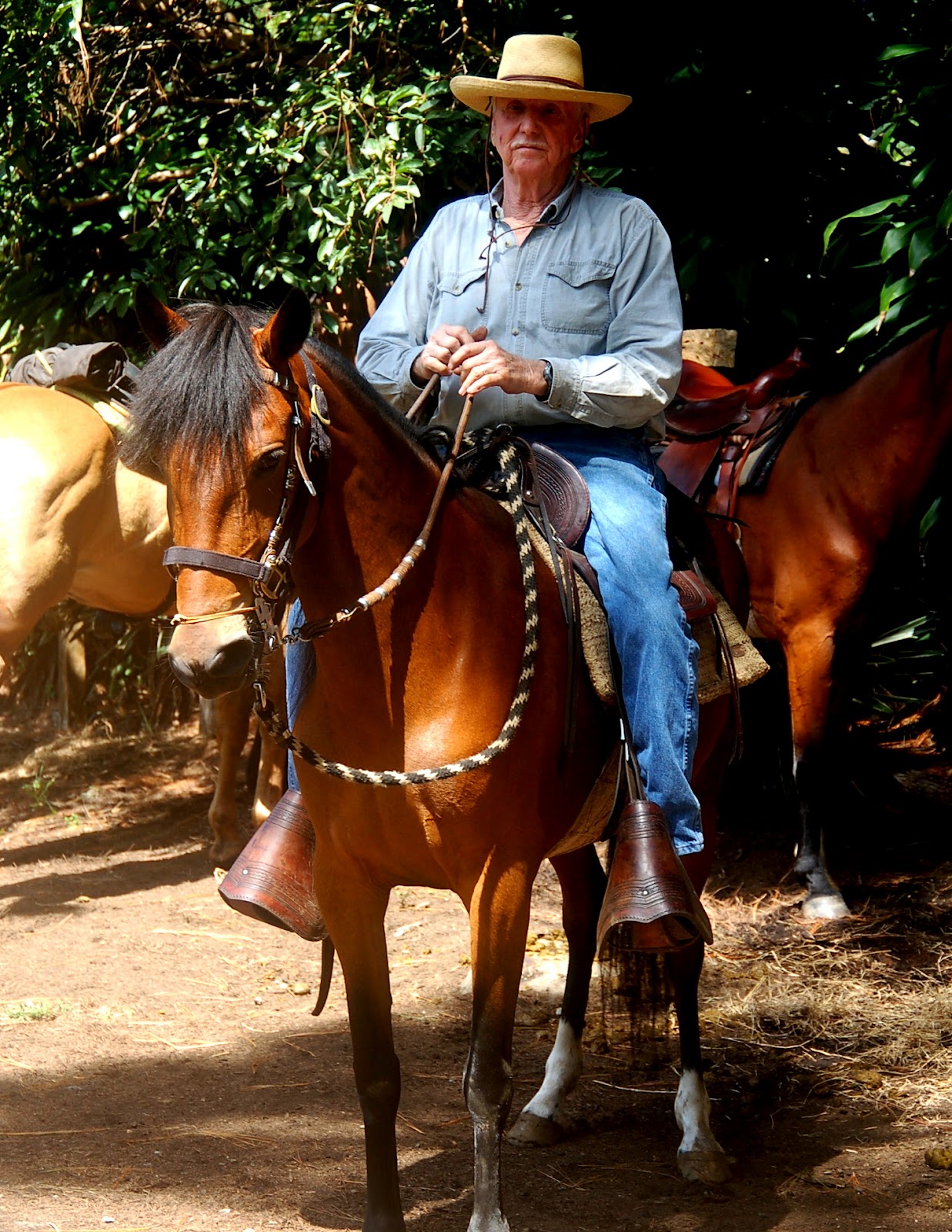 Horse Talk Panama: Horses and People of Boquete, Panama