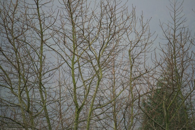 Las Recetas de Finuca: Cerrado temporalmente