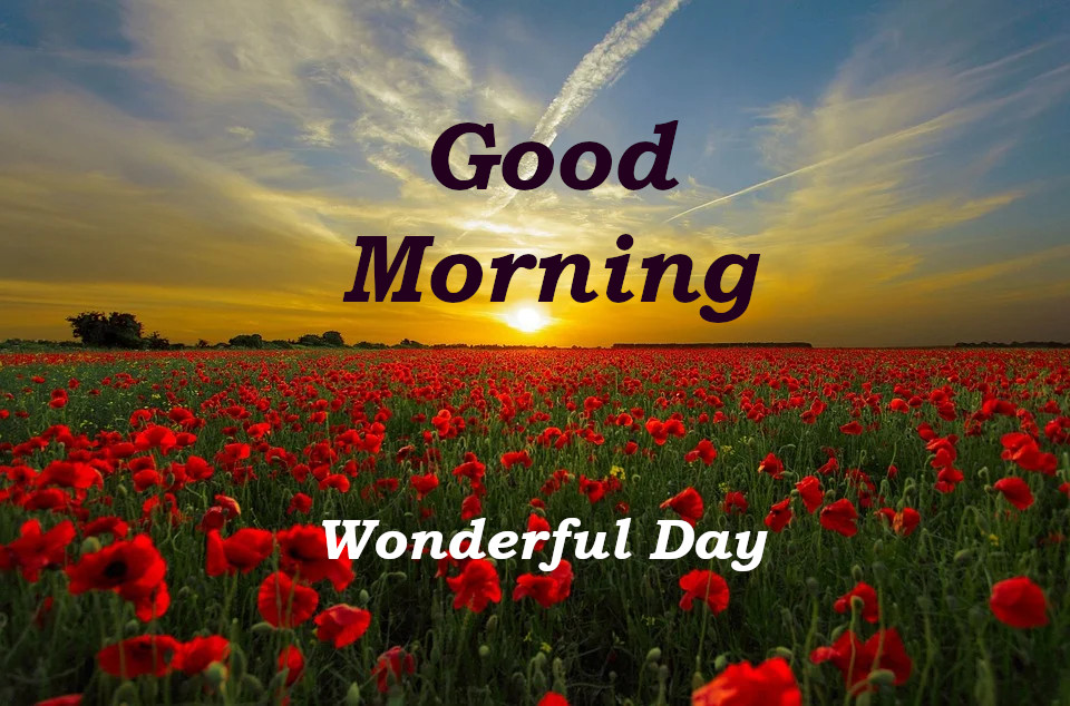 Top 161 Latest Best Good Morning Wishes.Images greeting Pictures,Photos ...