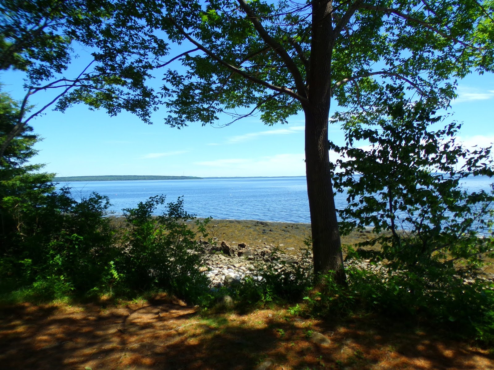 Moose Point State Park, Searsport, Maine - Fort Point State Park ...