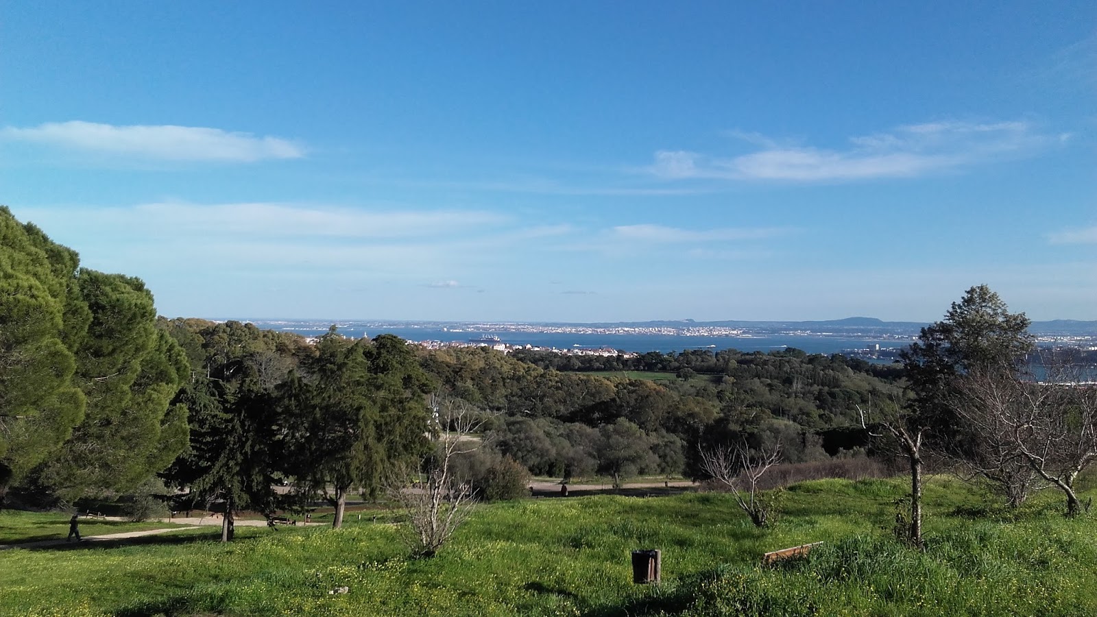 Os Verdes em Lisboa: Visita ao Parque Florestal de Monsanto