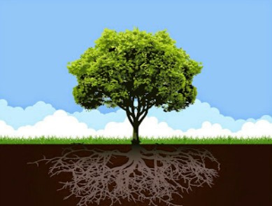 POHON ILMU USHULUDDIN