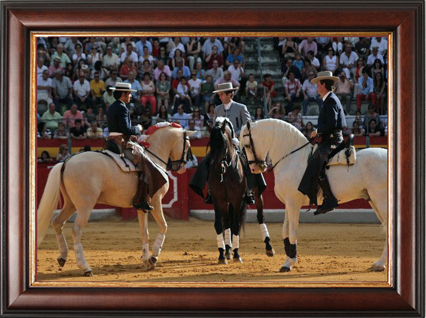 tauromaquia: El Rejoneo