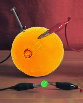 Sunburst Oranges: Sunburst Oranges Presents Electricity From an Orange