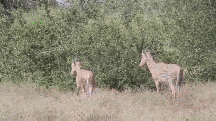 Nikita kherala: January 2020