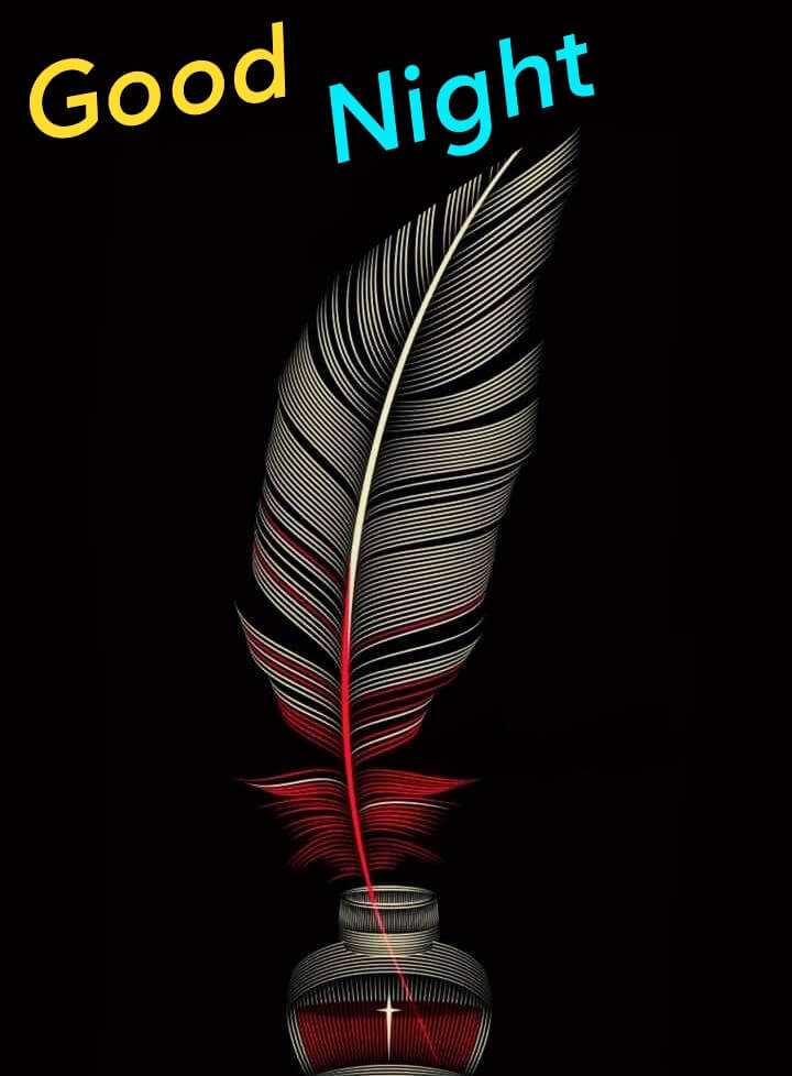 Good Night Pics