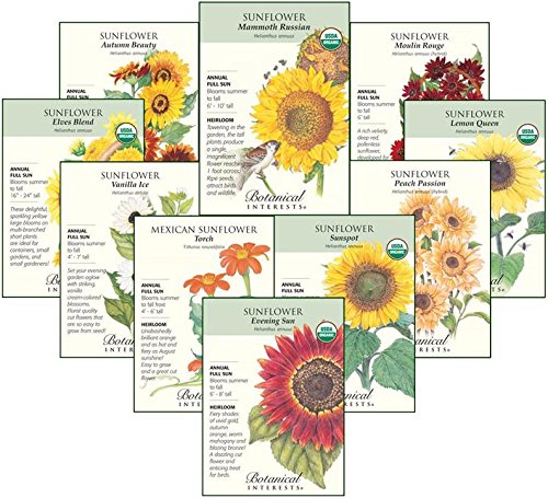 Ask The Plant Chick: Bud, Bloom, Seeds - The Evolution of a Sunflower