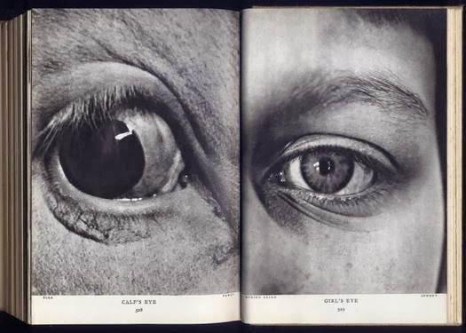 ART GALLERY AND MUSEUM STUDIES LEEDS: Curating Photographs | Stefan ...