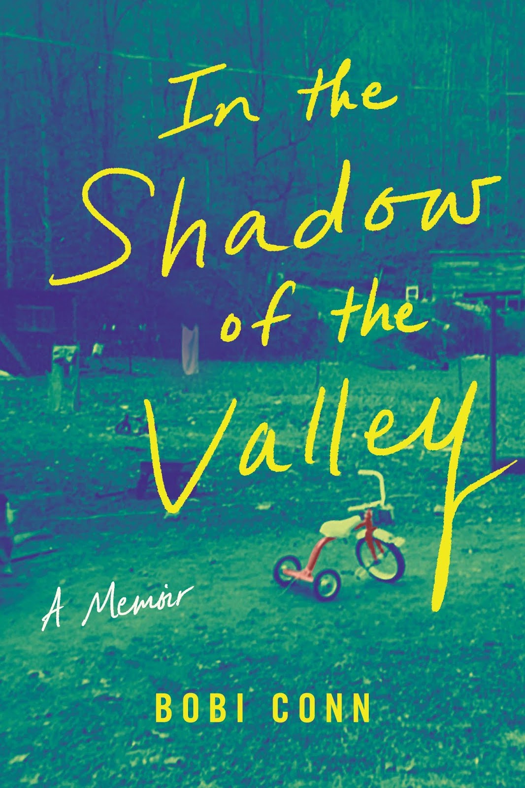 Review: In the Shadow of the Valley: A Memoir