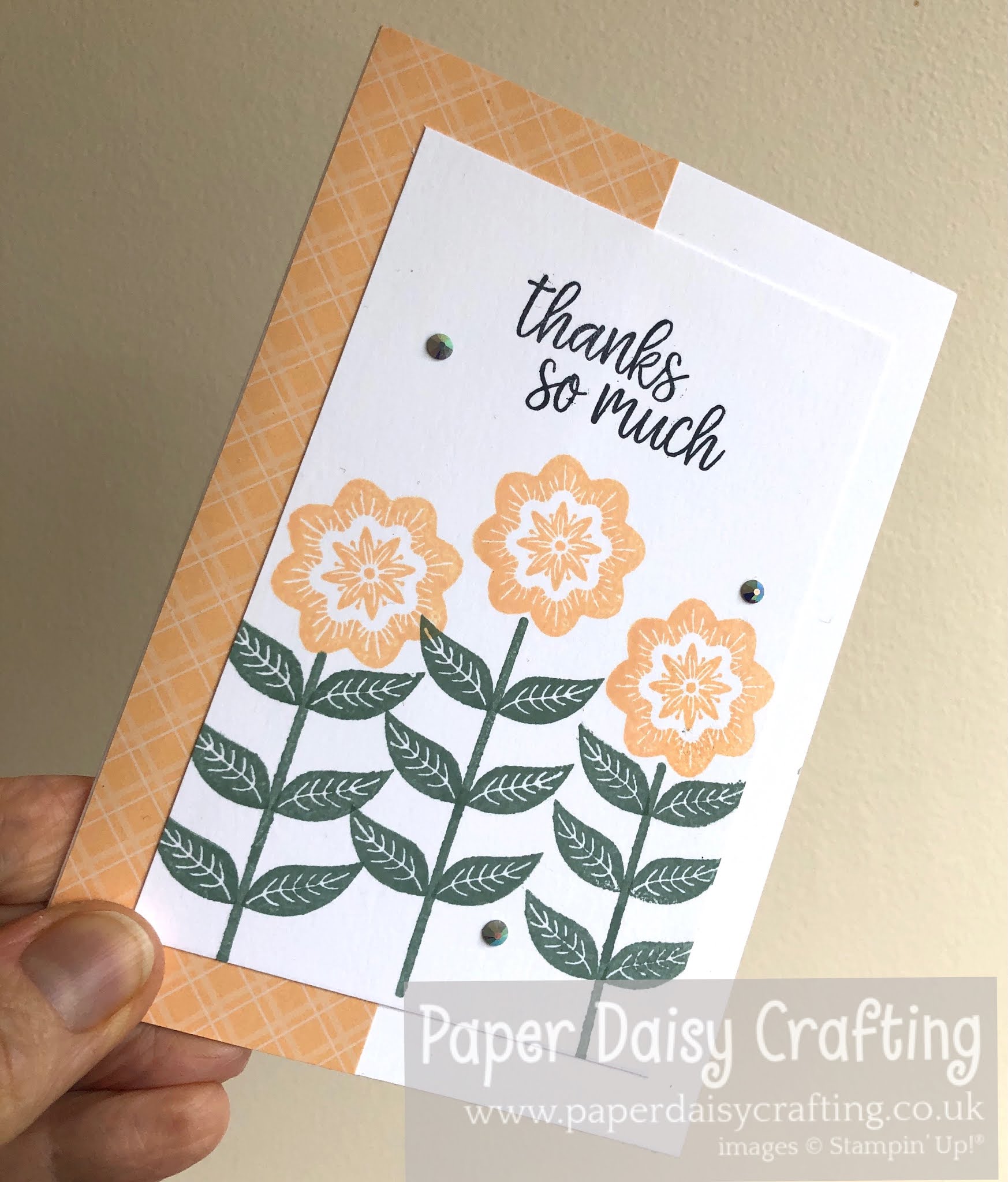 Paper Daisy Crafting: #3 Card Making for Beginners - Series 2 ...