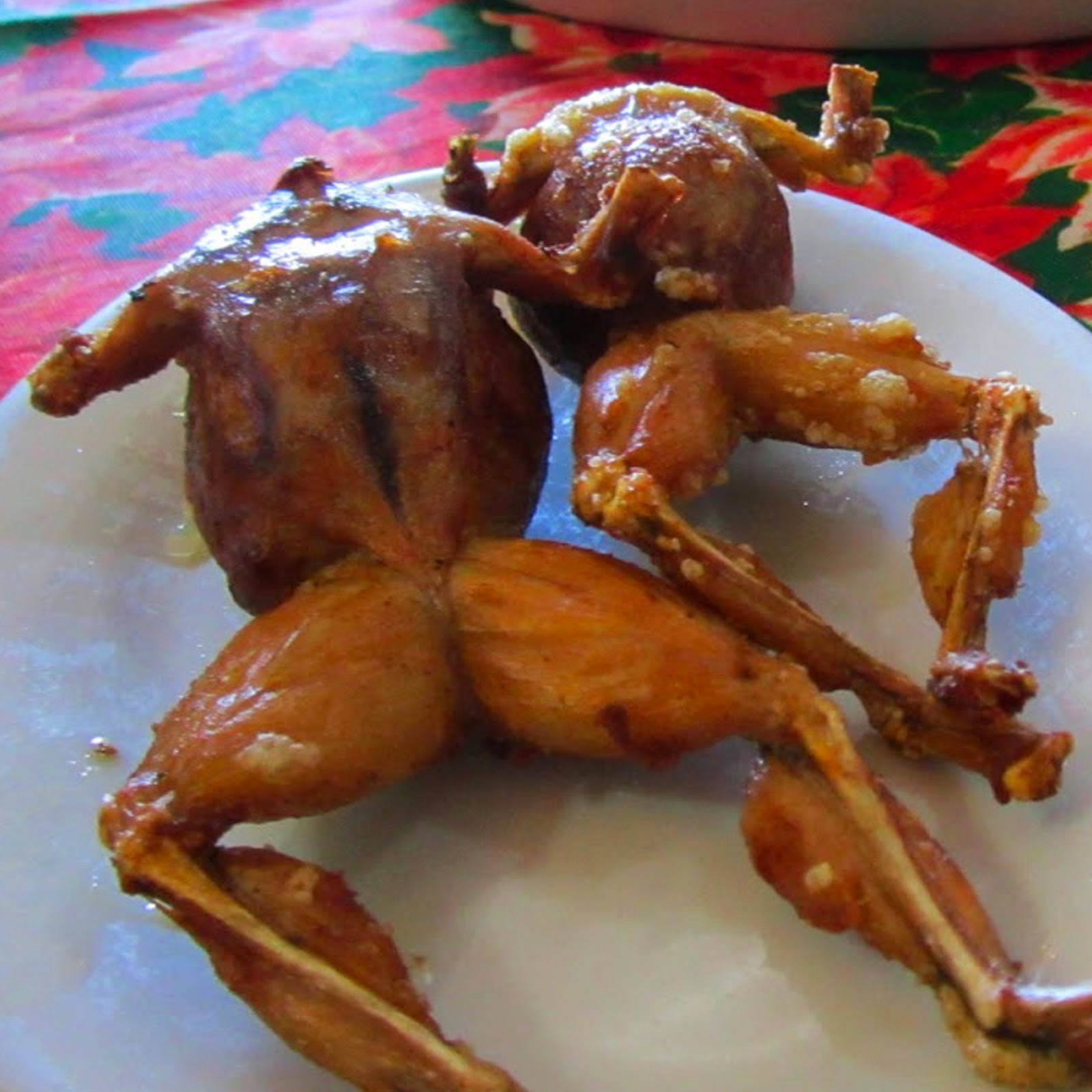 WE ♥ PAMPANGA travel and tours: Tugak Kokak