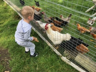 Bill Quay Farm | A Free Day Out in Gateshead | North East Family Fun