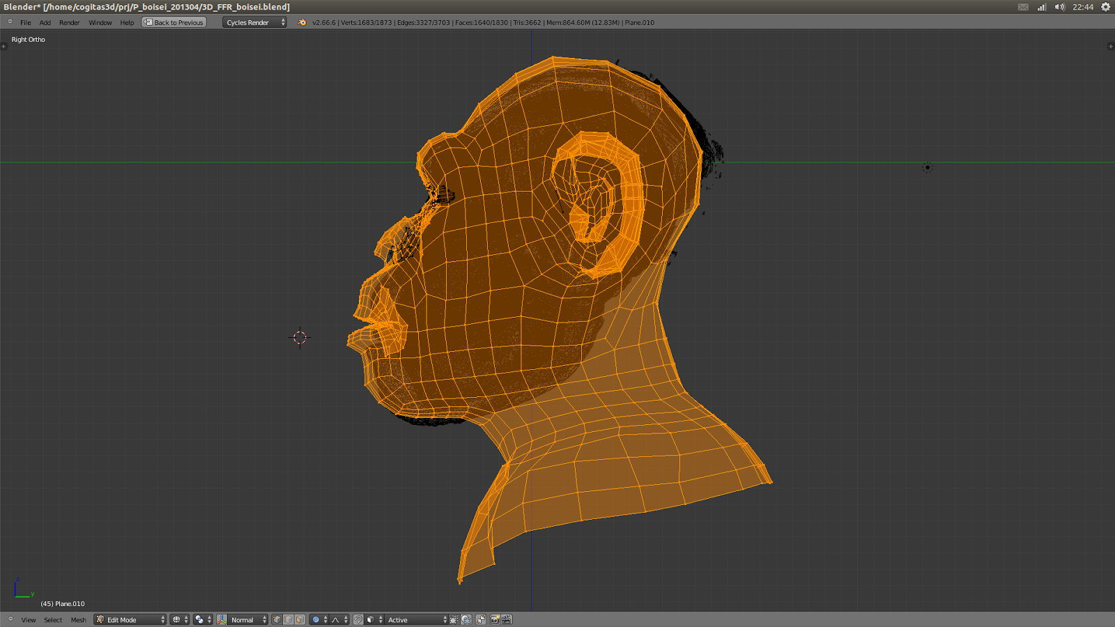 ATOR: Paranthropus boisei - forensic facial reconstruction
