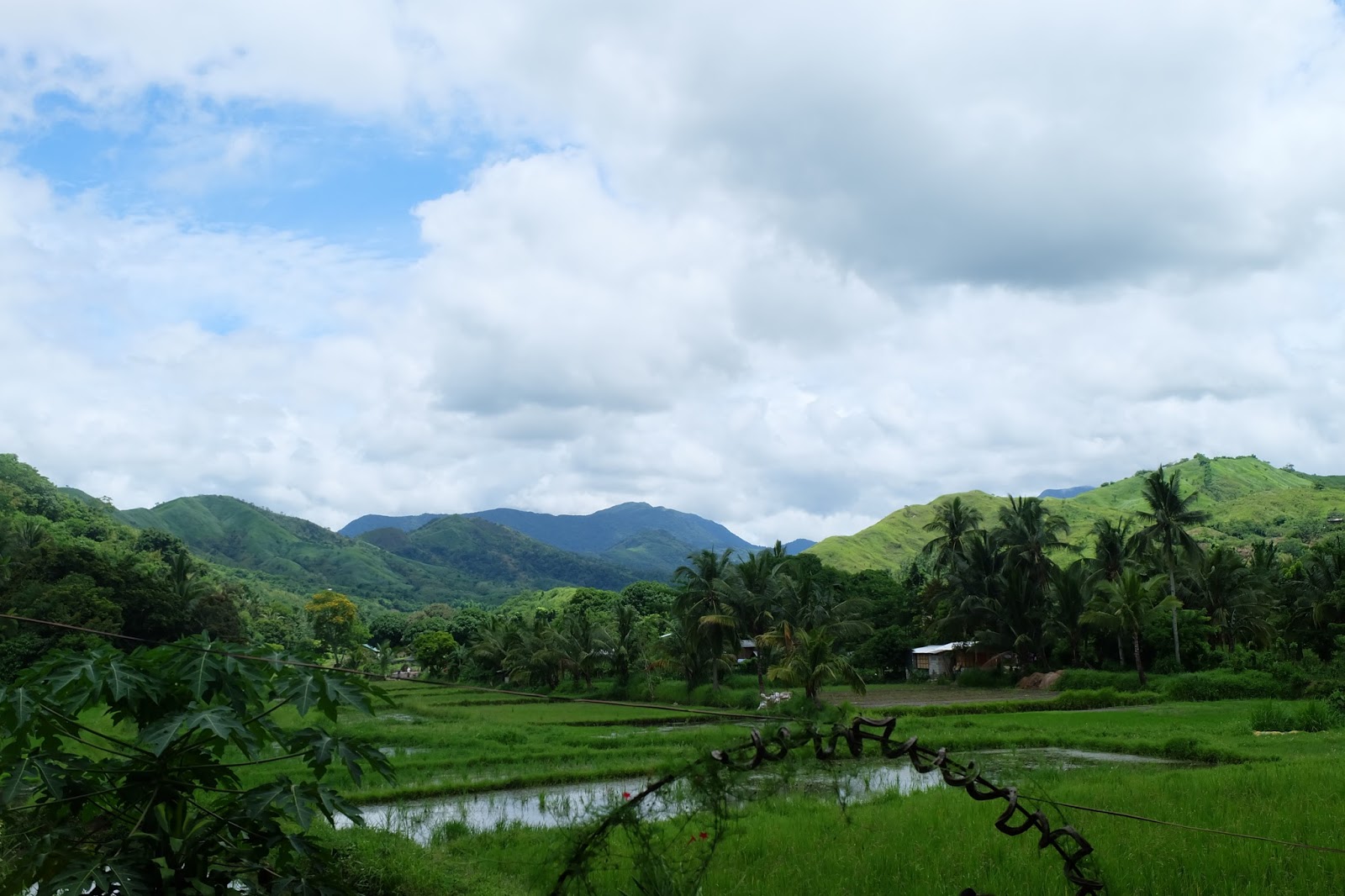 Mt. Cayabu and Mt. Maynoba Traverse to 8 Wonder Falls - From The ...
