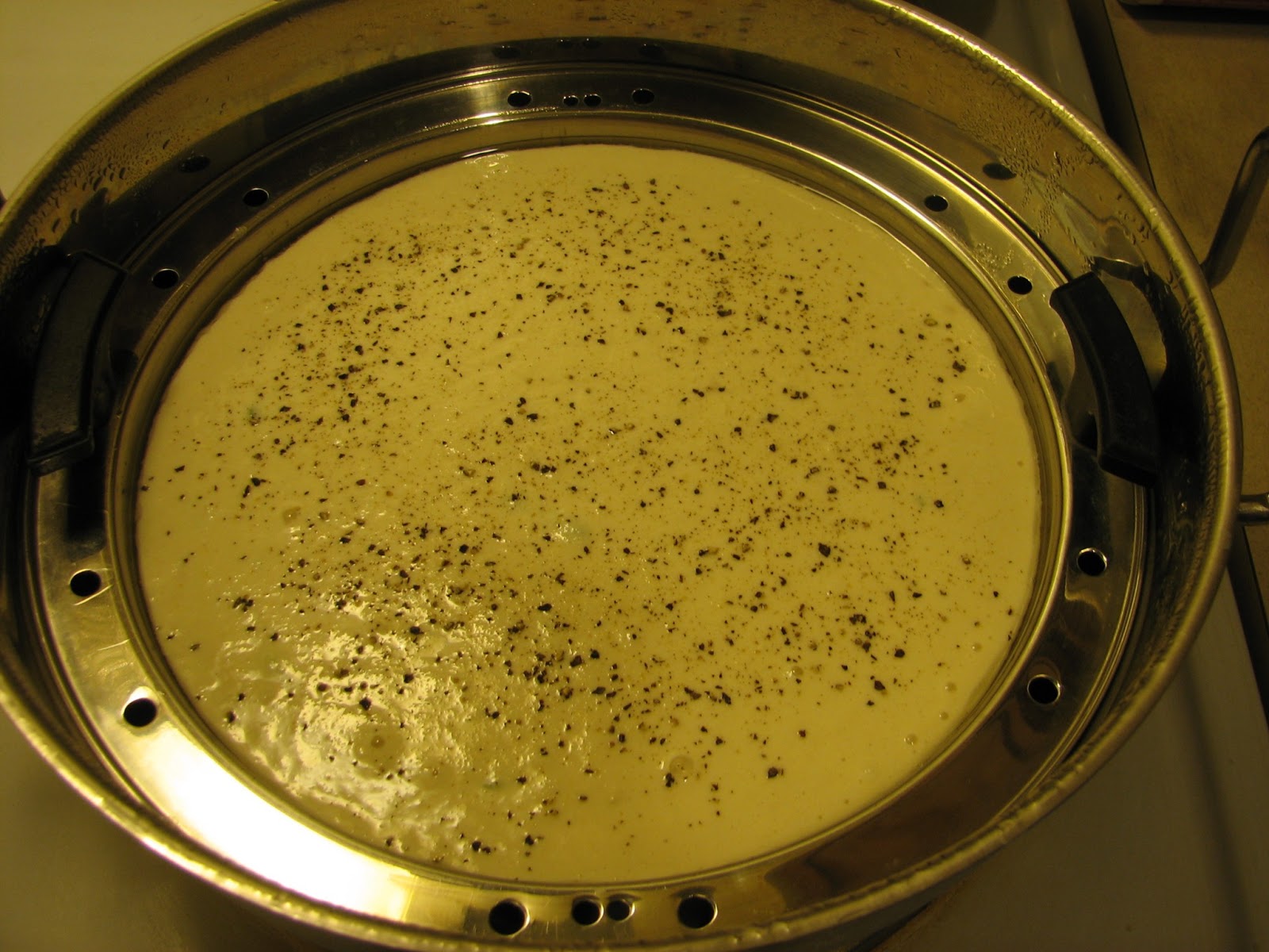 Delicious veggie dishes from all over the world: IDADA / WHITE DHOKLA