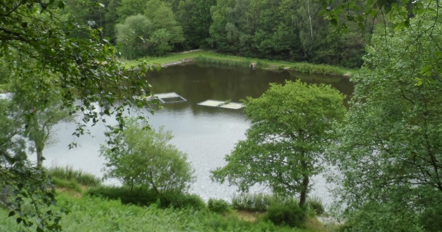 Walking The Peak: Ravenfield Park, Rotherham's Secret Valley