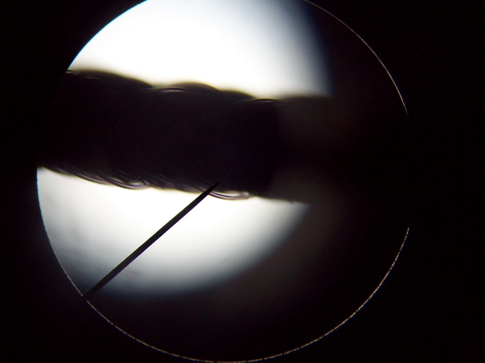 Forensics Study and Analysis