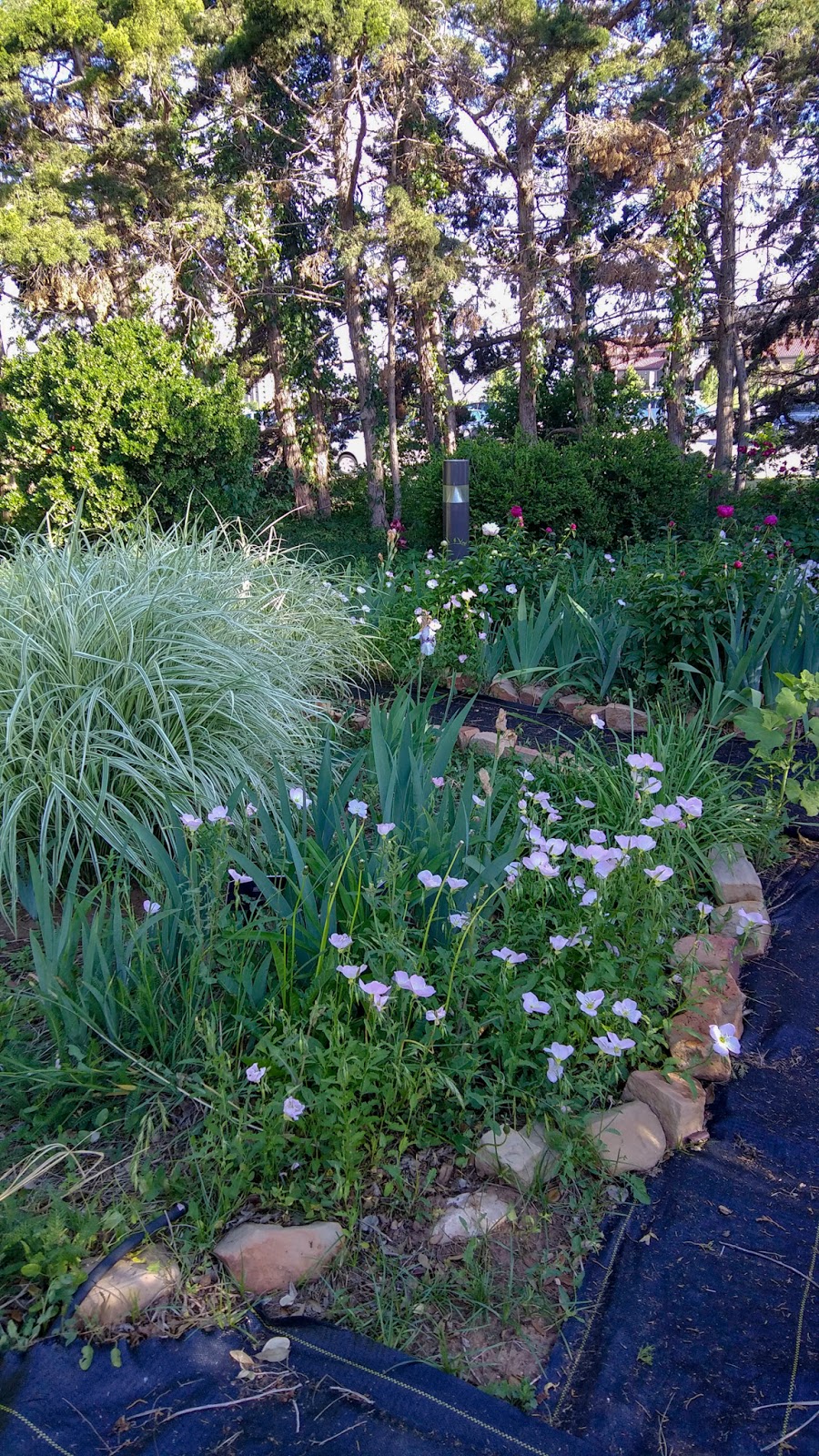 Living A Doll's Life : Make Window Views - for Doll House Windows