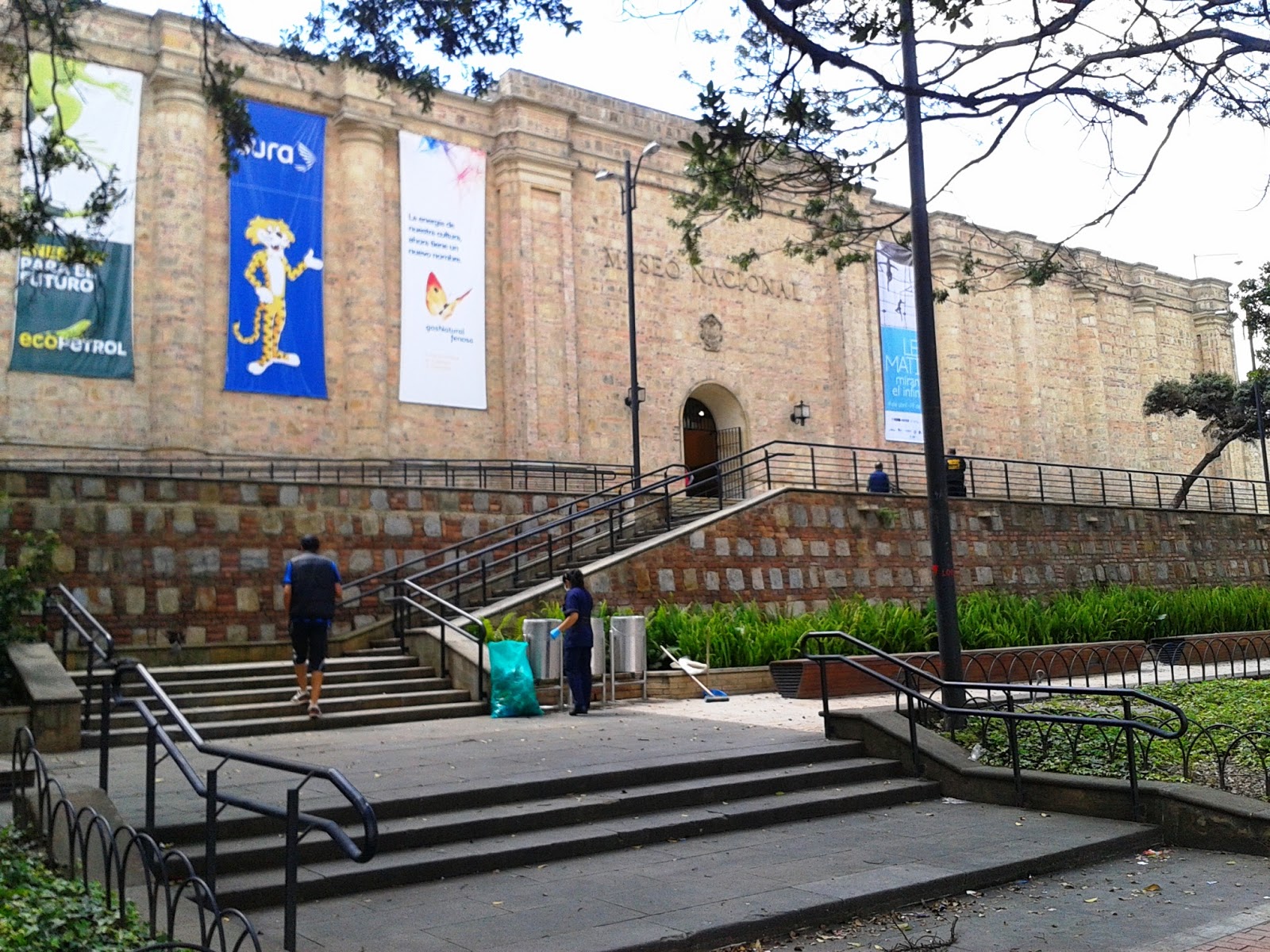 MyTiger-Mx: National Museum of Colombia