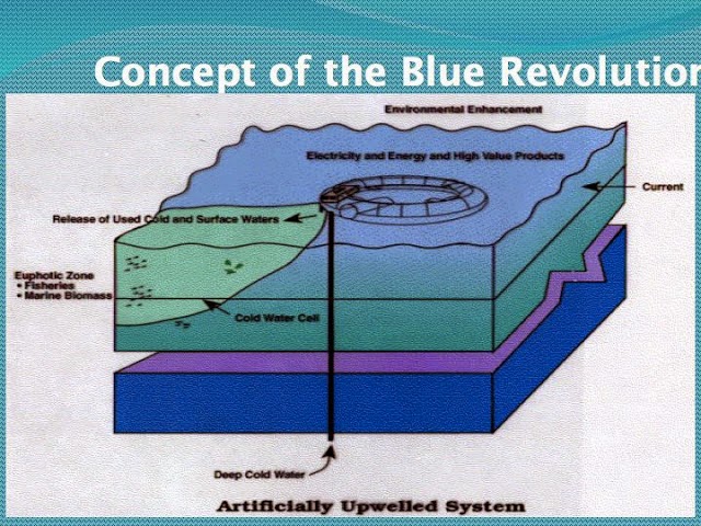 BLUE REVOLUTION HAWAII