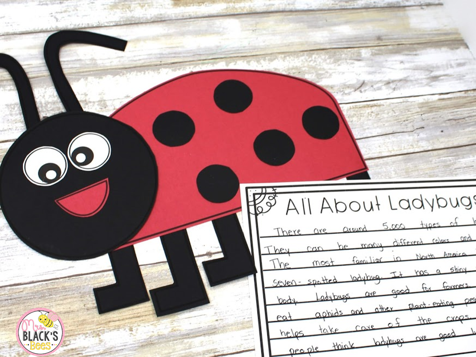 Ladybug Bulletin Board | Mrs. Black's Bees