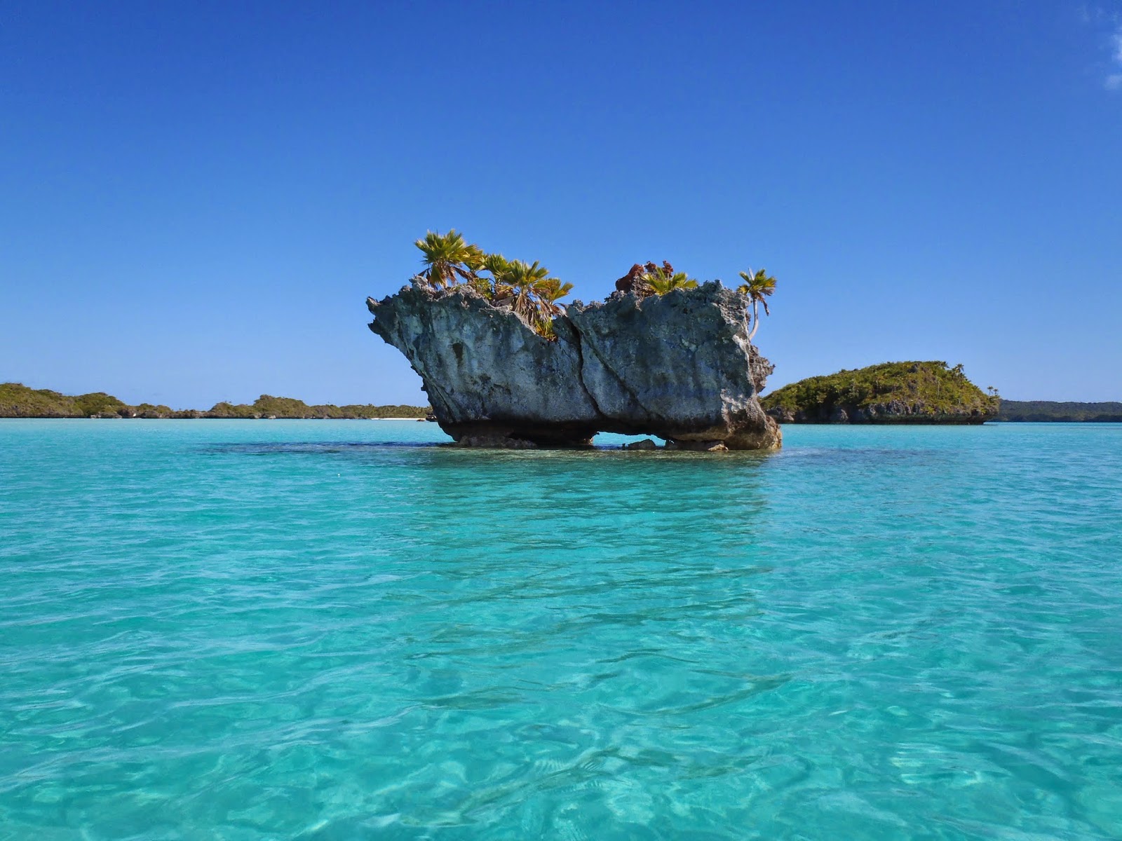 Ocean Echo 1: Lau Islands, Fiji - 2014
