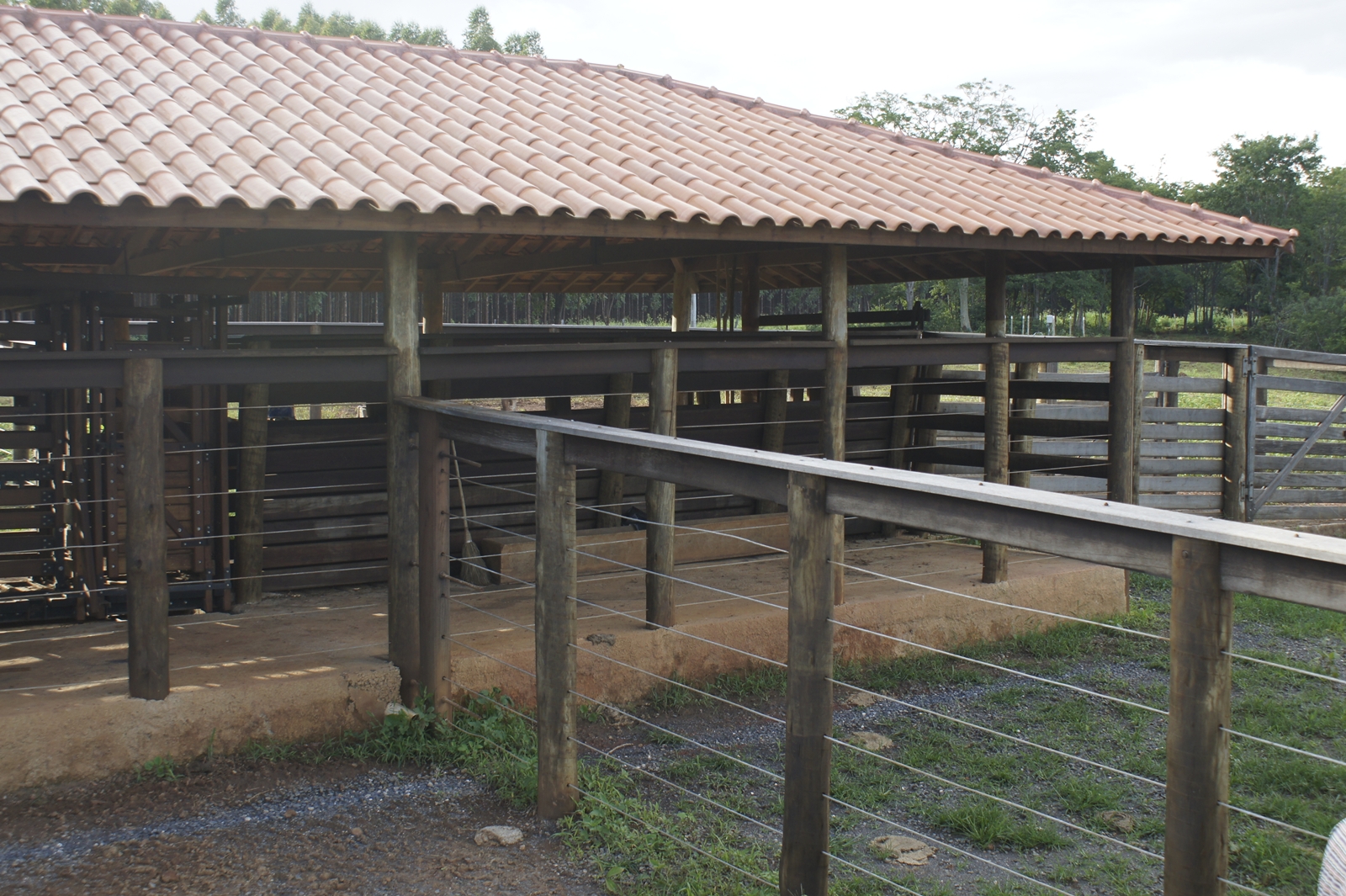 Zhé Adilson Carpinteiro: Curral