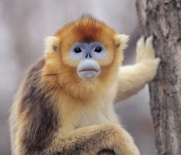 Poveşti pentru toţi: Prima poveste