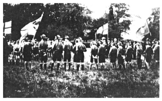 Tall Tales from the Trees: WALTER SYDNEY MASTERMAN (1876-1946) AND THE ...