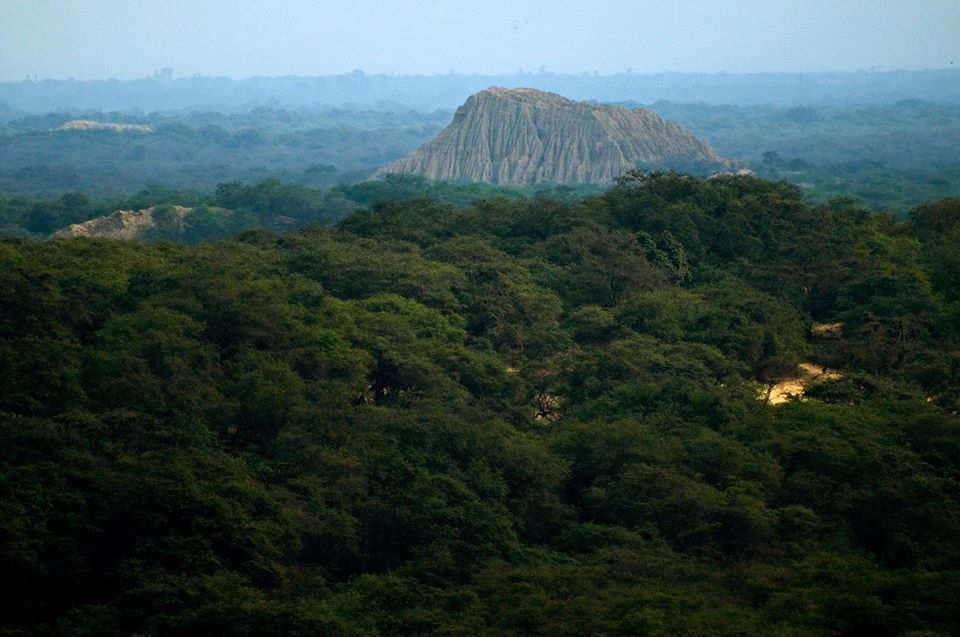 Santuario Histórico Bosque de Pómac